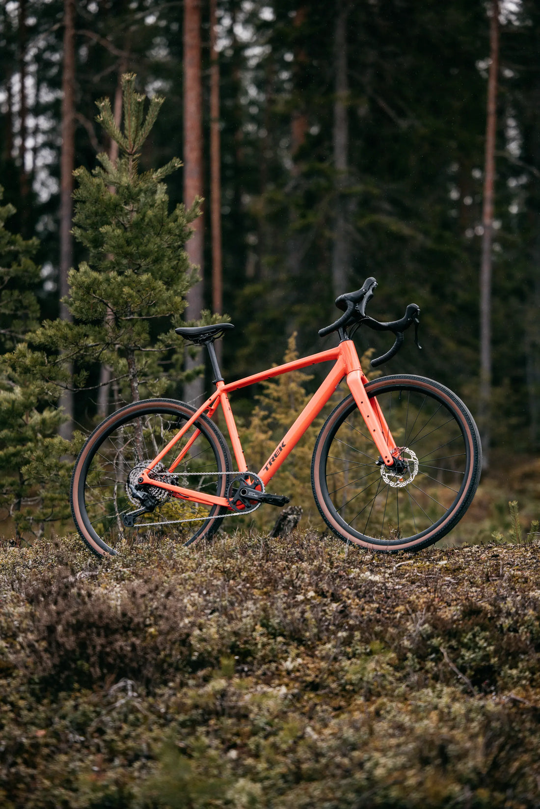 Trek Checkpoint ALR 3, ALR 4 ja ALR 5 (2026, Gen 3) – mitä eroa näillä ...